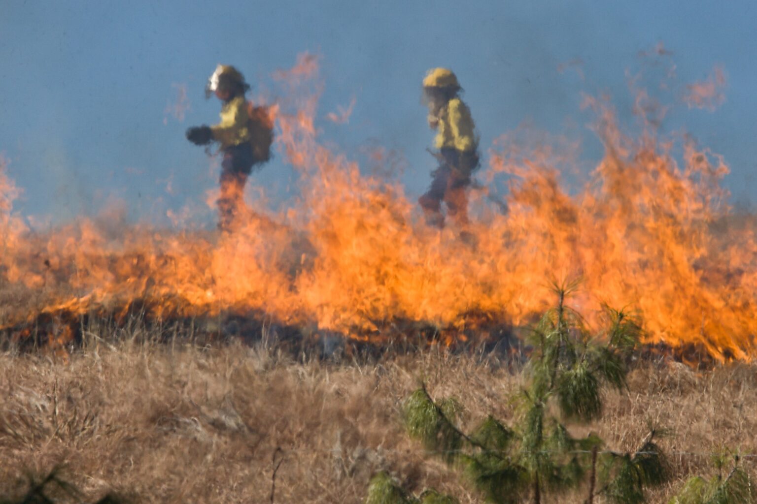 How Your Department Can Support the National Cohesive Wildland Fire ...