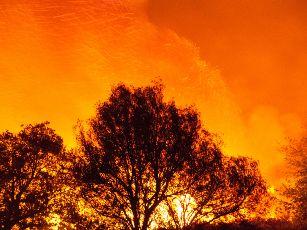 Get Ready for Wildfire Community Preparedness Day - National Volunteer ...